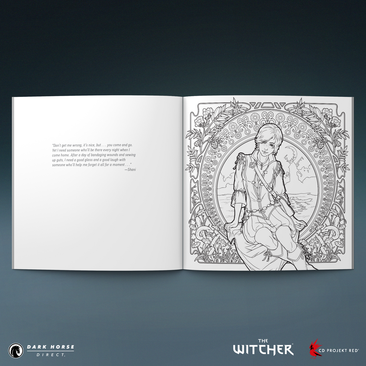 The Witcher – Dark Horse Direct