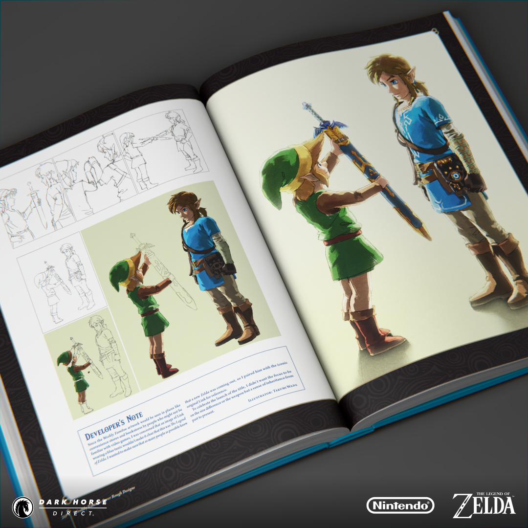 The Legend of Zelda: Breath of the Wild--Creating a Champion HC (Hero ...