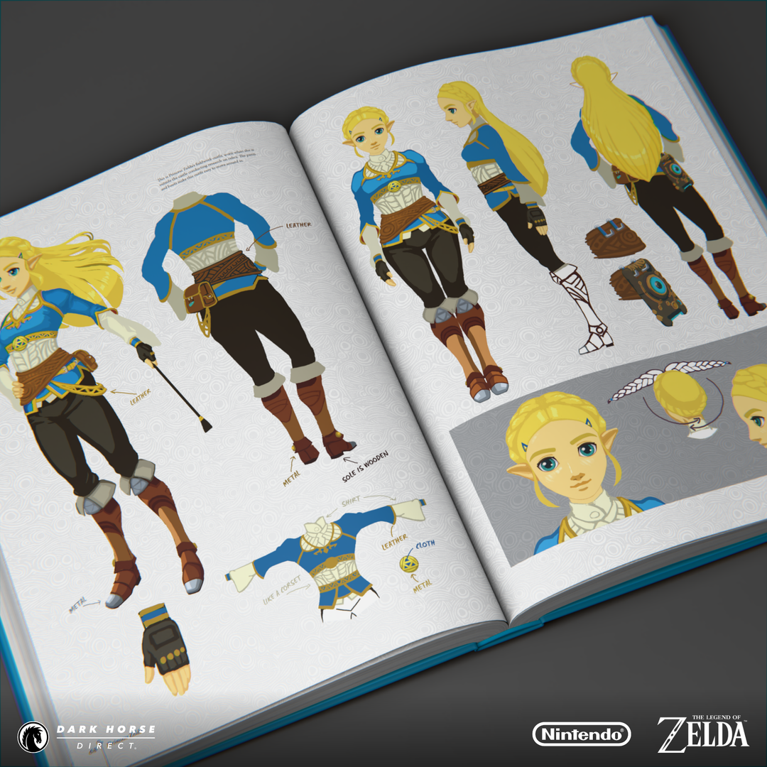The Legend of Zelda: Breath of the Wild--Creating a Champion HC (Hero ...